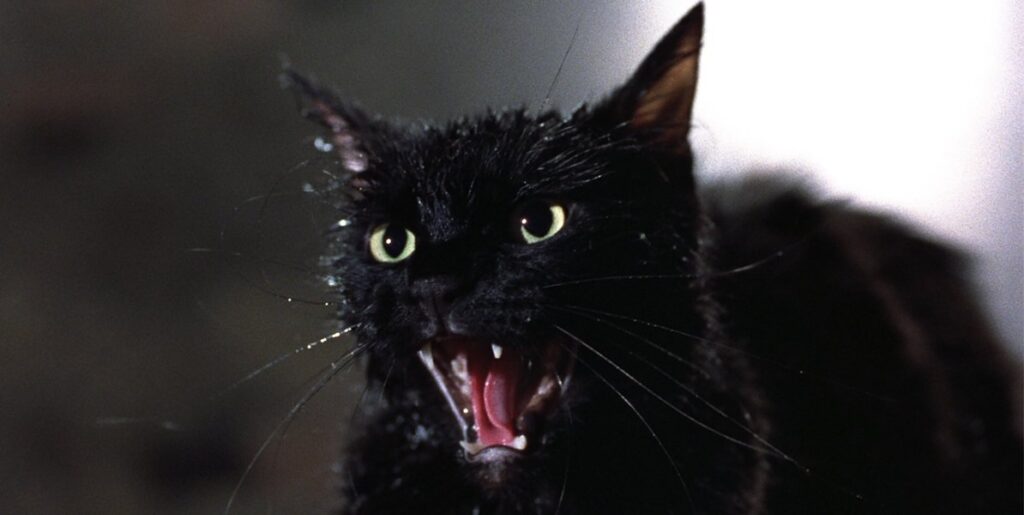 What Makes A Killer Horror Movie Character? Common Horror Character ...